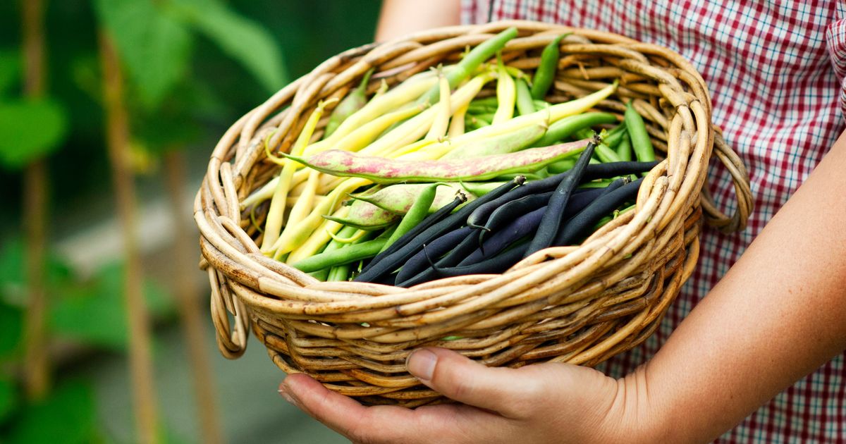 Näin teet ruokaa pavuista | Kodin Kuvalehti