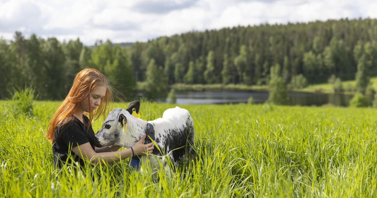”Kaupunki ei houkuttele edes asuinpaikkana” – näissä nuorissa ...